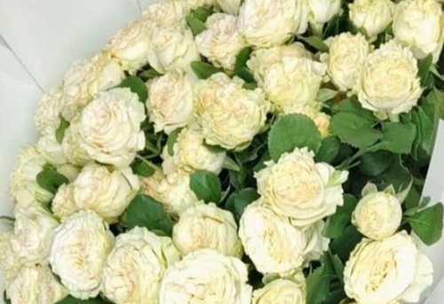 Роза букеты белая красная кустовая Эквадор