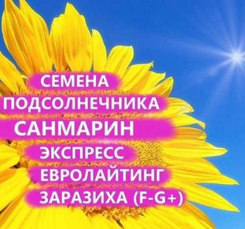 Семена подсолнечника Санмарин, Калуга