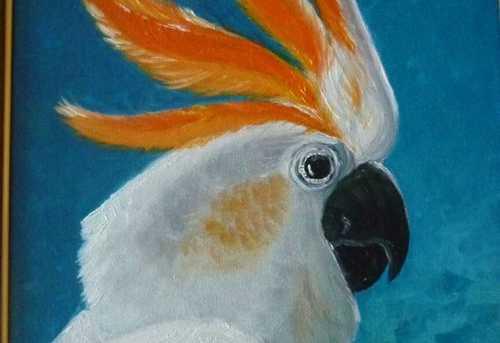 Картина маслом на холсте "Попугай"