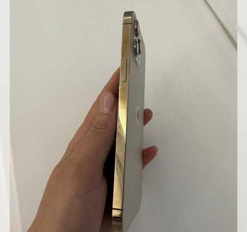 iPhone 12 Pro Max, 256 ГБ