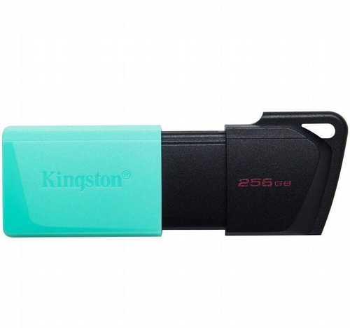 USB Flash накопитель 256GB Kingston #370846