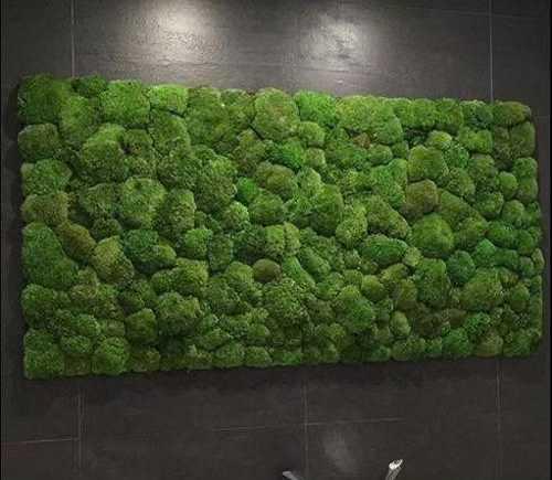 Стена из мха