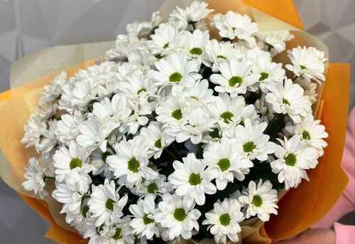 Белая хризантема кустовая букет