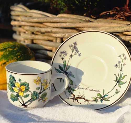 Кофейная пара Villeroy&Boch Botanica Сhelidonium Majus