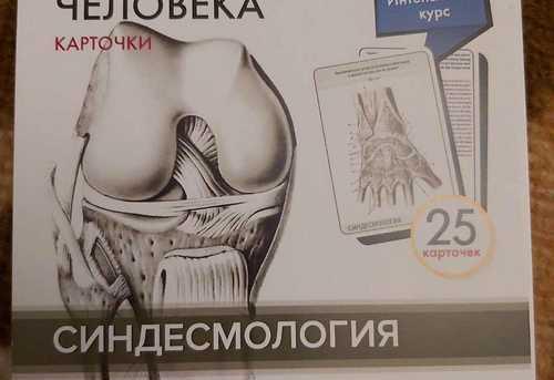 Анатомия человека. Карточки. Синдесмология