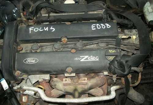 Двигатель 2.0 eddd Ford Focus 1