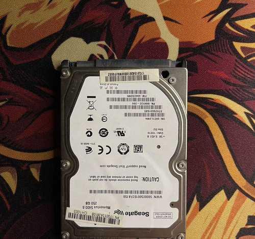 Seagate ST9250315AS 250 GB