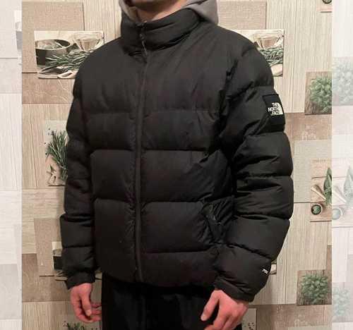 Пуховик the north face 700