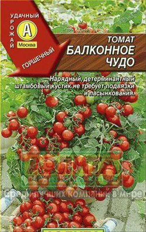 Продам рассаду томатов Балконное чудо