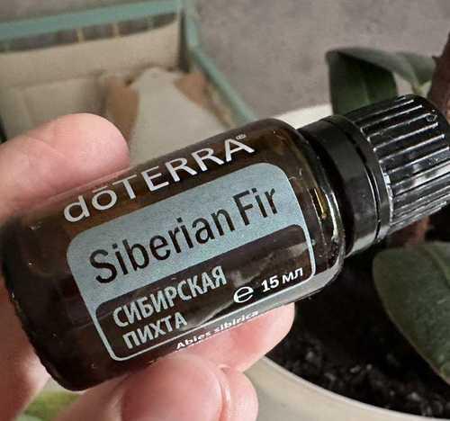 Сибирская пихта doterra при кашле