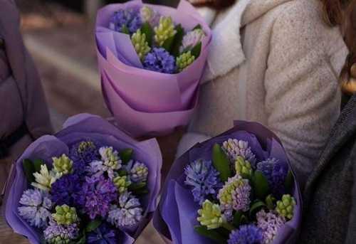 Фиолетовые гиацинты (весенний букет)