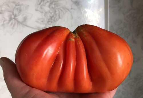 Редкие семена томатов(и не только)