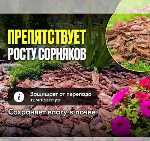 Кора лиственницы и сосны