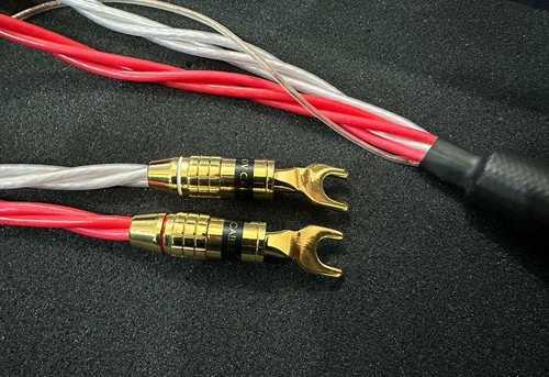 Tchernov cable Reference DSC SC Sp/Sp 3,1 m Демо