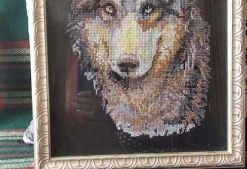 Вышивка Волк картина
