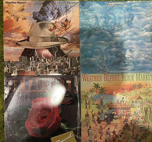Weather Report, Temptations