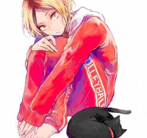 Акриловый Стенд Haikyuu Kenma