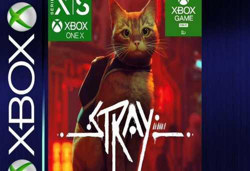 Stray / xbox ONE series S, X