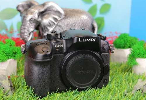 Panasonic Lumix DC-GH4 Body idwg7