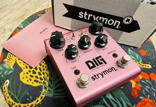 Strymon DIG delay