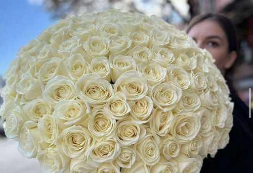 Розы Эквадор Голландия букеты цветы доставка