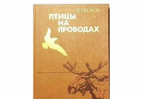 Песков В. Птицы на проводах -1982