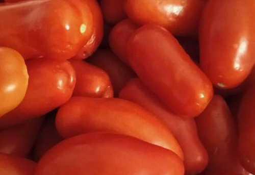 Семена томатов, болгарского перца, острого