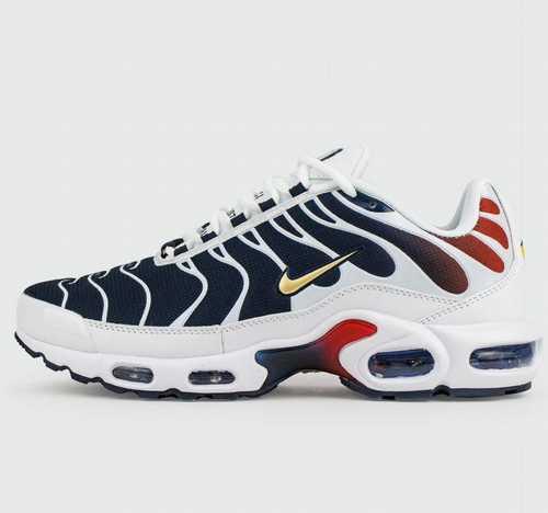 Кроссовки Nike Air Max Plus Tn