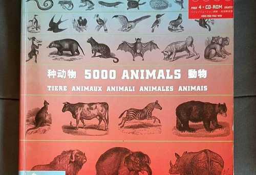 5000 животных / 5000 animals. Альбом + 4 CD