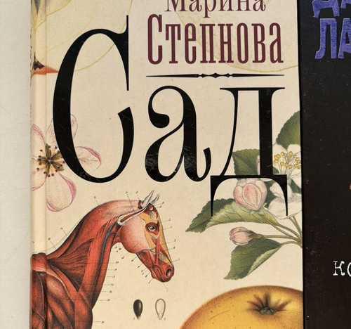 Книга "Сад" Марина Степнова