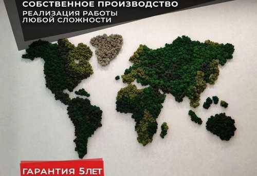 Карта мира из стабилизированного мха