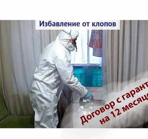 Уничтожение клопов тараканов