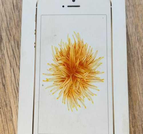 iPhone SE, 16 ГБ