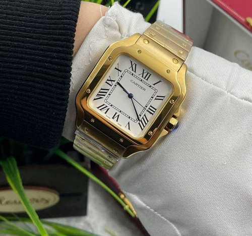 Самы мужские cartier