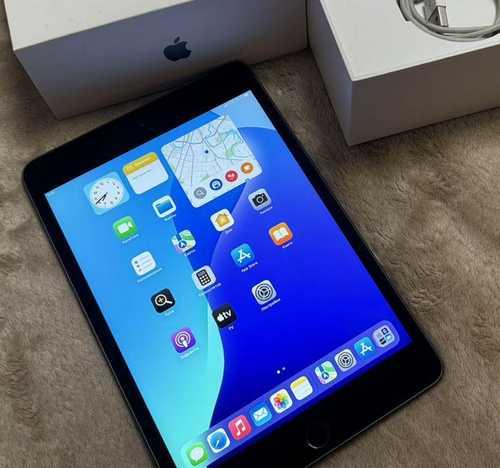 iPad mini 5 256gb WiFi   Cellular