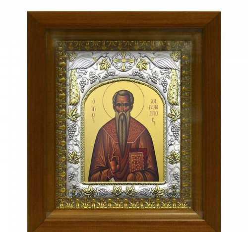 Икона харалампий (Харлампий) Магнезийский, Священномученик