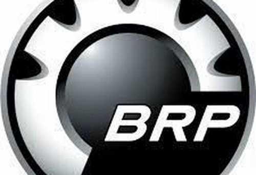 Амортизатор BRP MX-Z 505070952 505070953