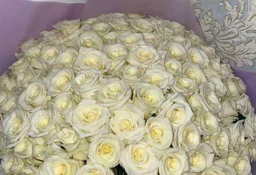 151 белая роза, букет из белых роз, розы
