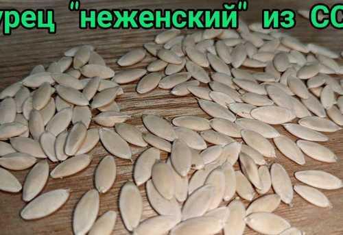 Огурец неженский (семена) СССР