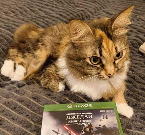 Коробки от дисков на xbox one