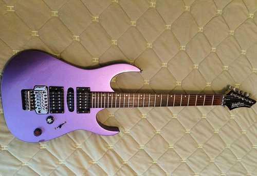 Washburn WR-154