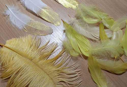 Натуральные и декоративные перья для творчества