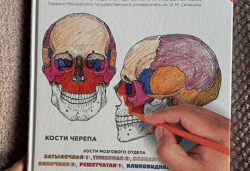 Книга "Анатомия человека. Атлас-раскраска"