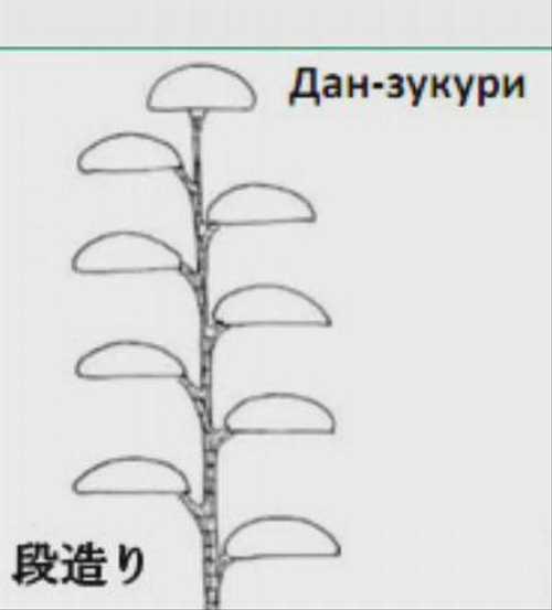 Ниваки из сосны Дан-зукури ( стиль шагов)