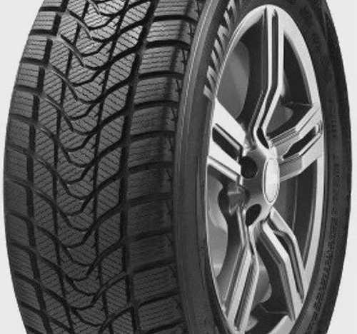 Delinte Winter WD1 225/45 R17 94T