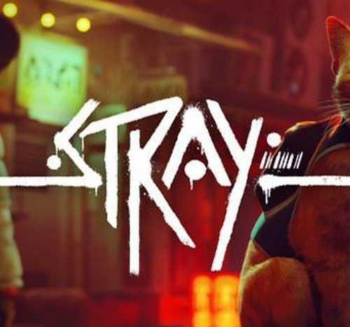 Stray PS4/PS5