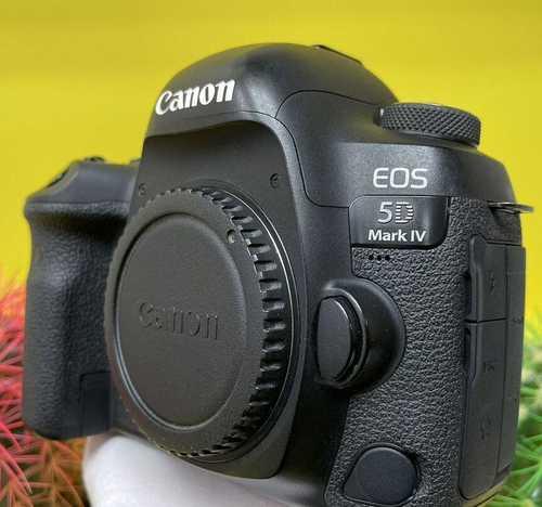 Canon 5D mari iv