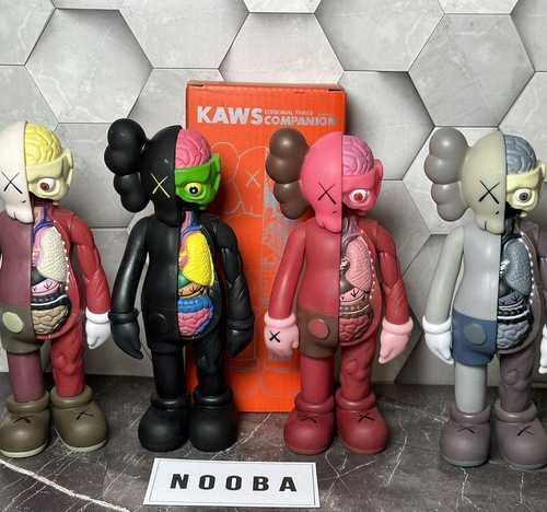 Kaws Anatomy