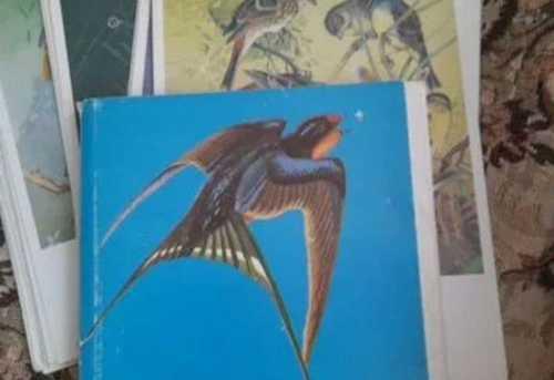 Набор открыток СССР птицы забайкалья