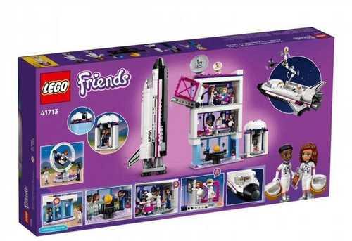 Новый набор Lego Friends 41713